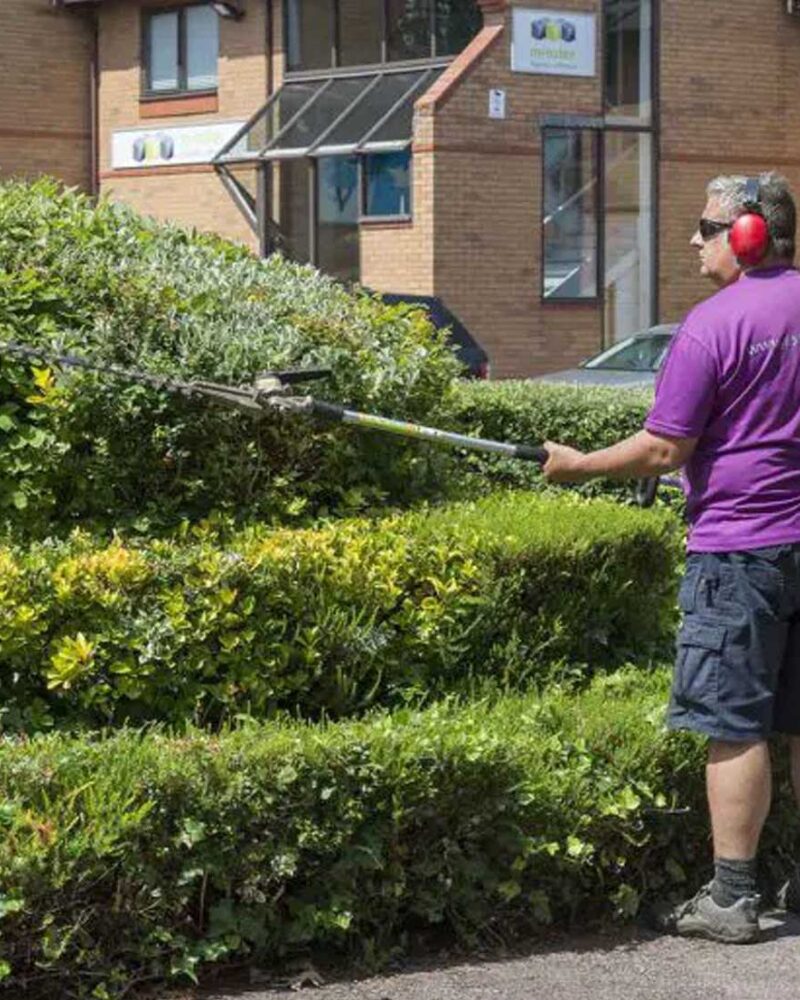 School & University Cleaning & Grounds Maintenance | Exterius